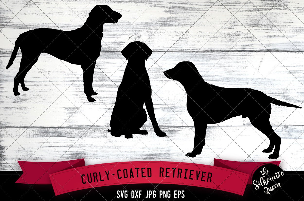 Curly Coated Retriever SVG Files Dog Svg Silhouette File | Etsy