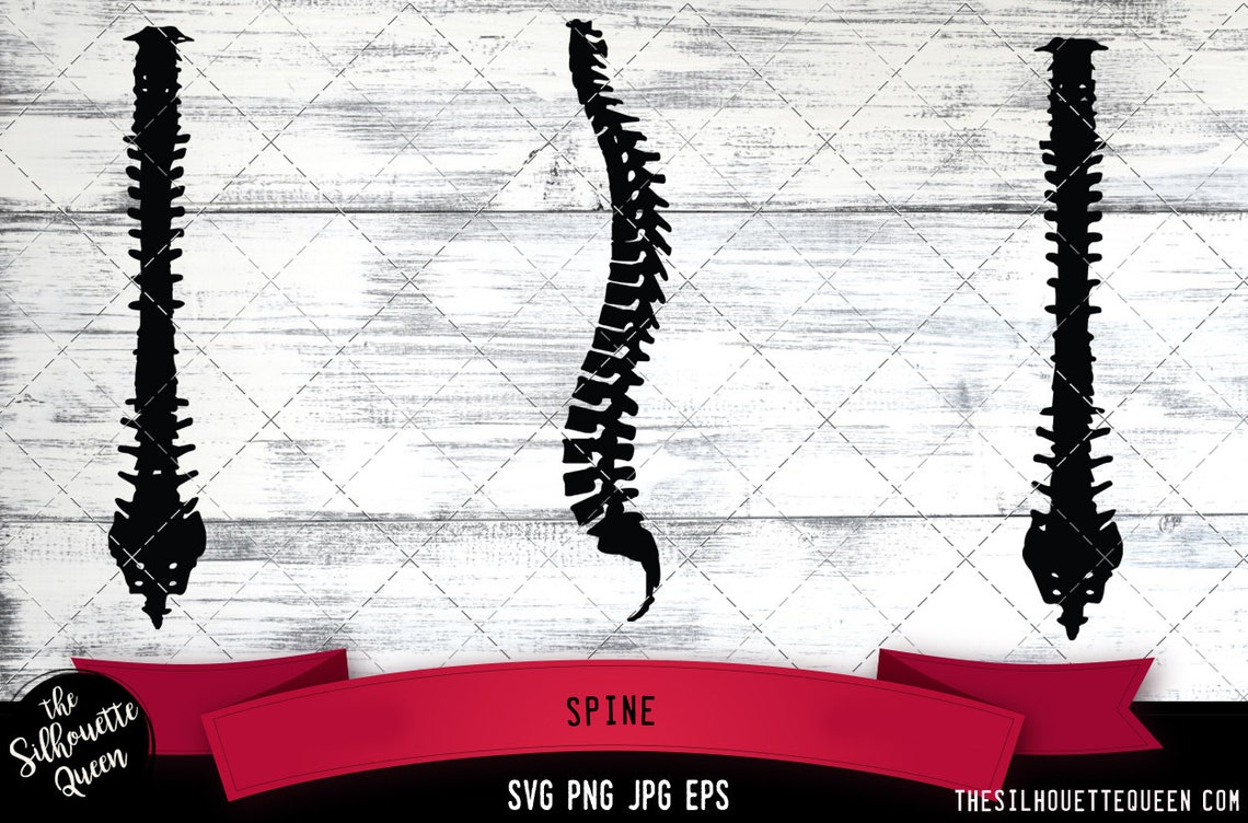 Spine SVG Silhouette Logo Spine SVG Cut Files for Cricut - Etsy