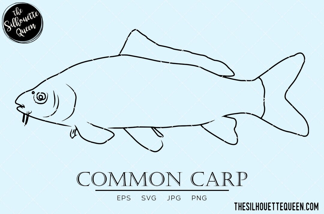Common Carp Svg Fresh Water Fish Marine Svg Aquatic Svg - Etsy