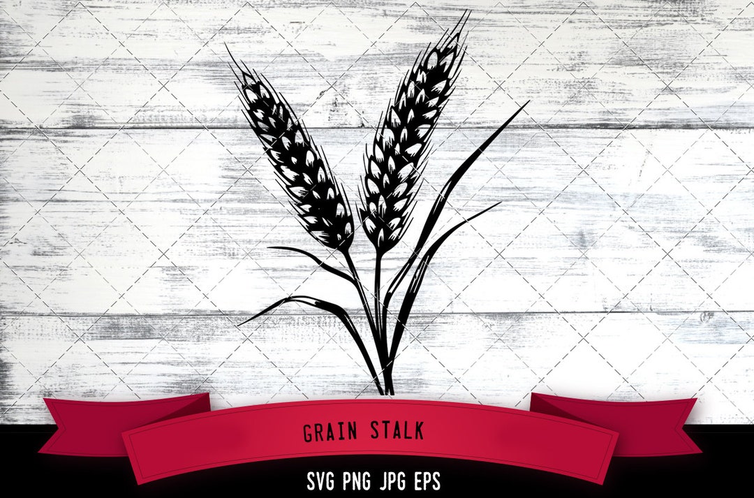 Grain Stalk SVG, Farm SVG, Logo - Digital Download With Commercial ...
