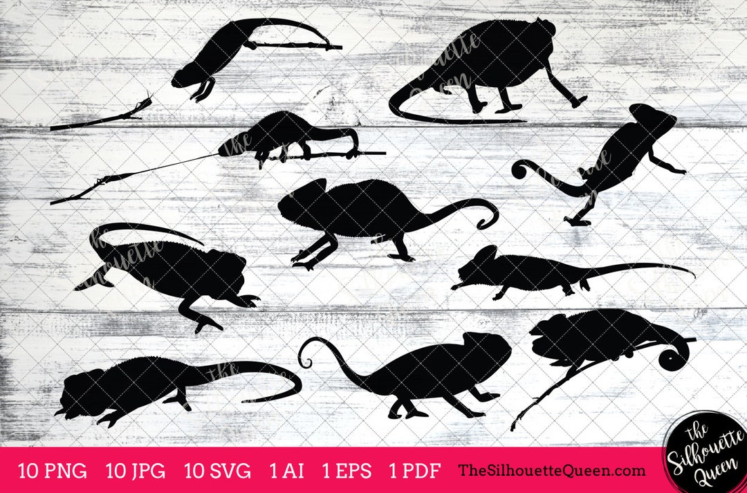 Chameleon Svg, Chameleon Monogram, Chameleon Svg File, Cuttable, Svg ...