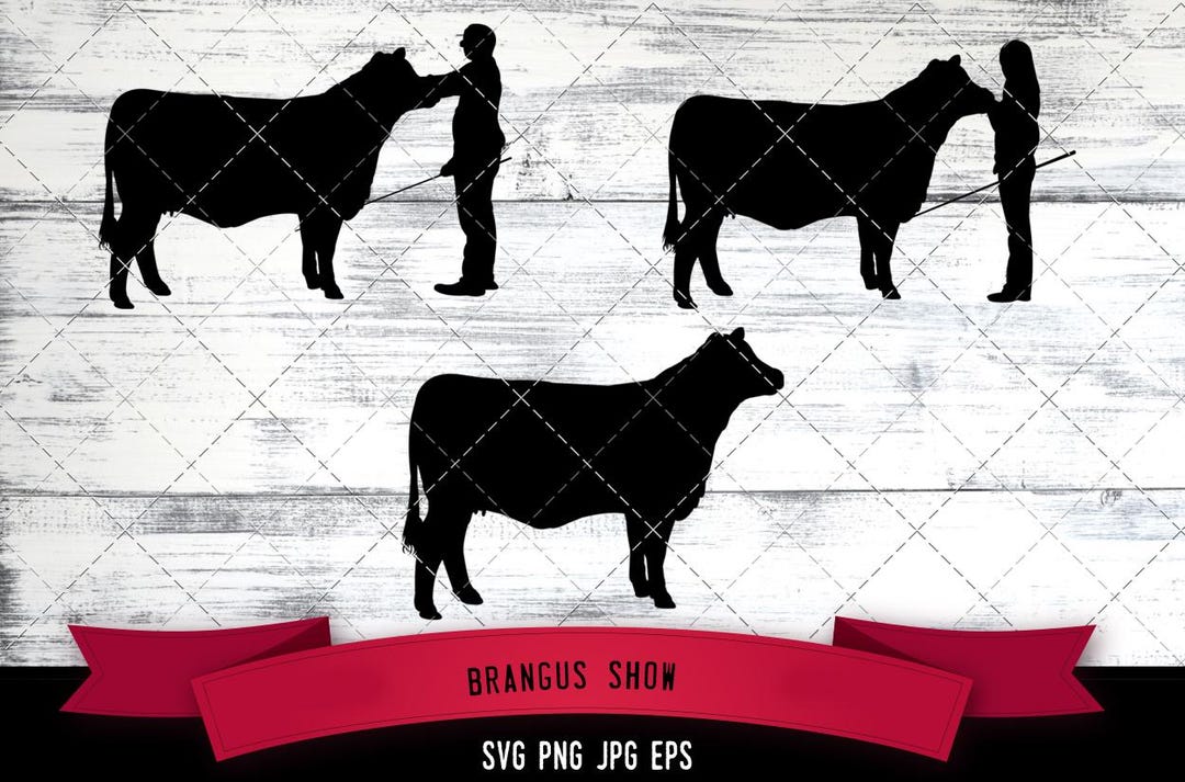 Brangus Cow Show SVG File,livestock Judging Svg, Farm Girl Boy Svg, 4-H ...
