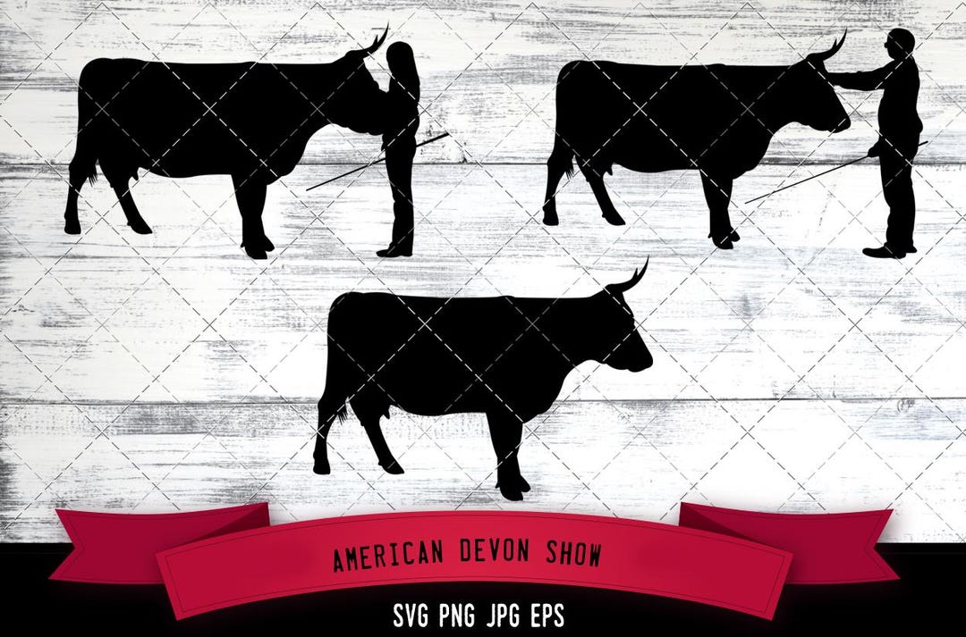 American Devon Cow Show SVG File,livestock Judging Svg, Farm Girl Boy ...