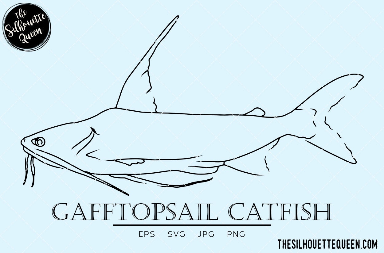 Gafftopsail Catfish