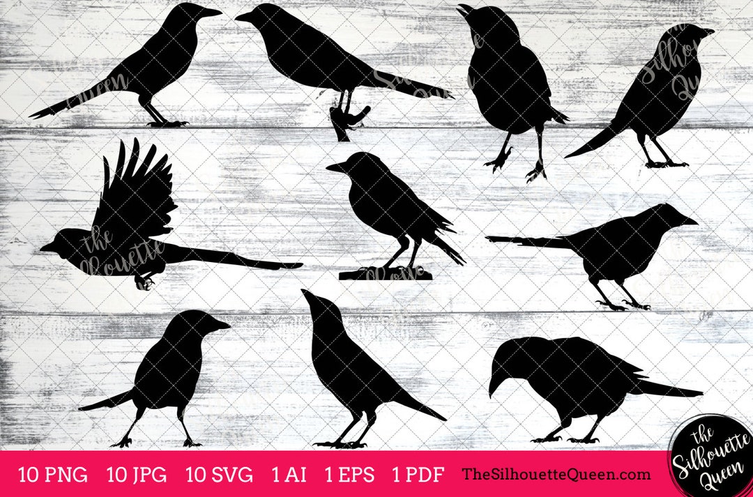 Magpie Bird SVG Files Bundle, Flying Bird SVG, Sitting Bird SVG ...