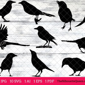 Magpie Bird SVG Files Bundle, Flying Bird SVG, Sitting Bird SVG ...