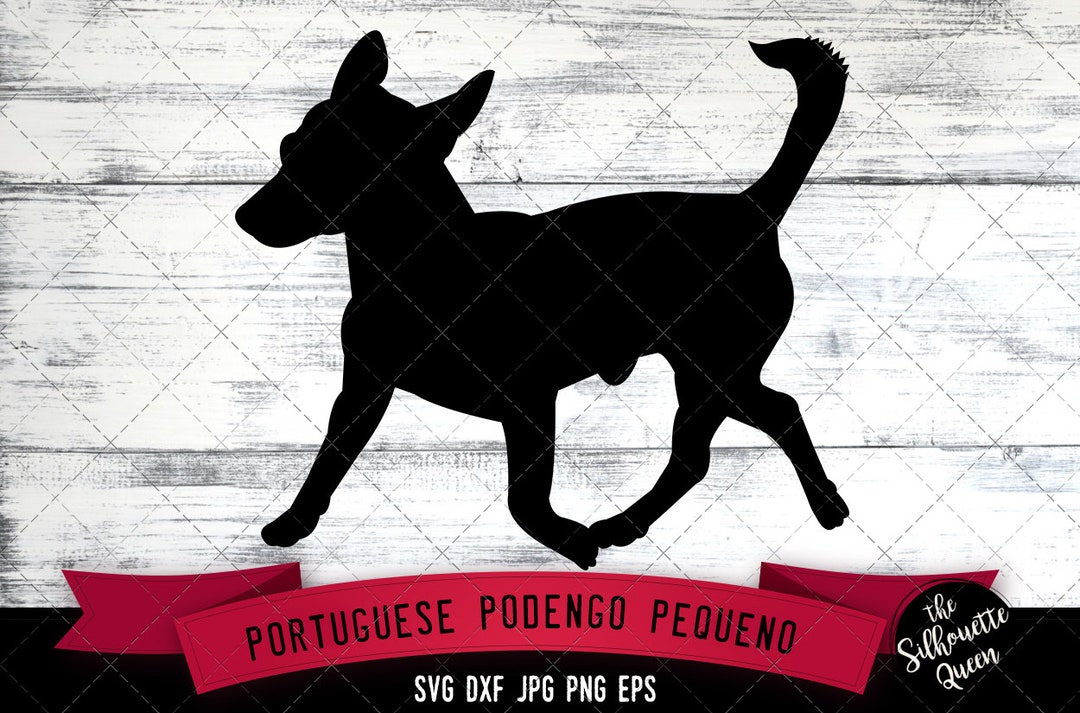 Portuguese Podengo Pequeno SVG Files, Dog Svg, Silhouette File, Cricut ...