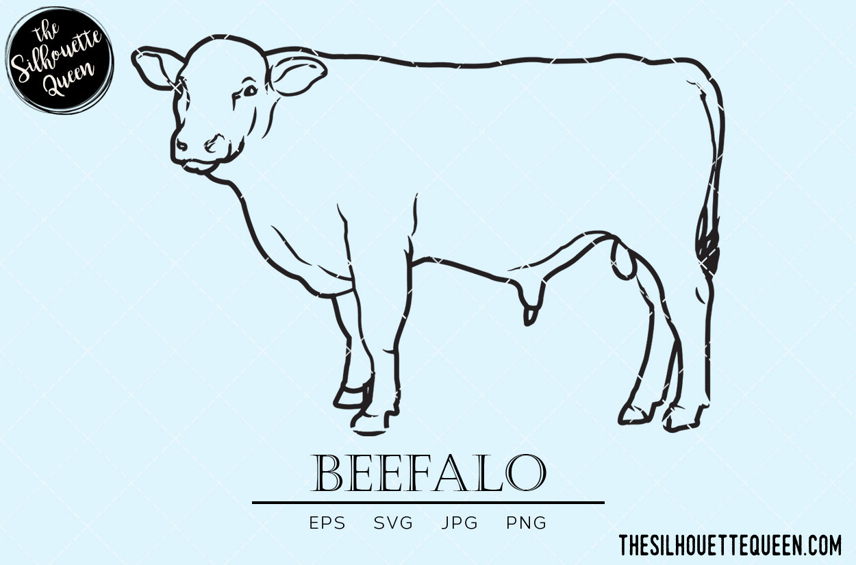Beefalo Hybrid Animals