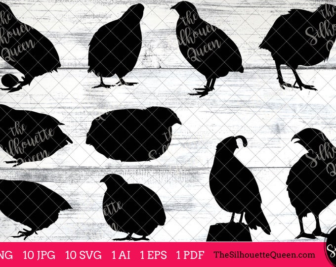 Vector BOBWHITE, Quail, AI, Eps, Pdf, Png, Svg, Dxf, Jpg Image Graphic ...