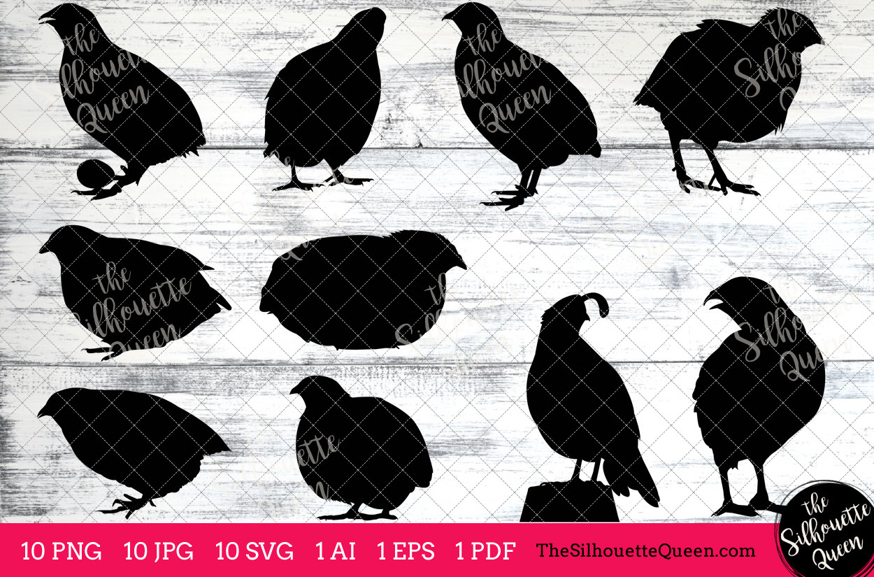 Quail Bird SVG Files Bundle Flying Bird SVG Sitting Bird - Etsy