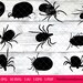 Tick Insect Svg, Tick Bug Monogram, Tick Svg File, Tick Cuttable ...