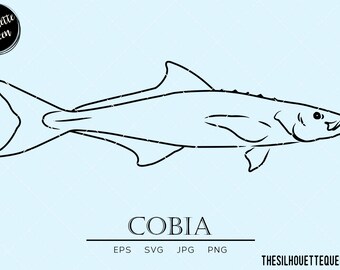 Cobia - Etsy