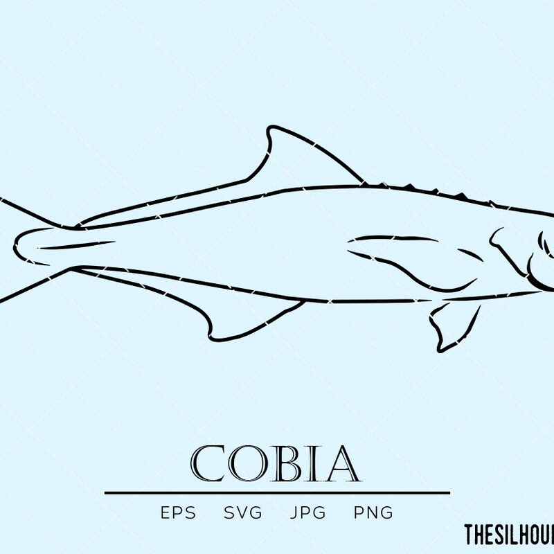Cobia Fish Svg - Etsy
