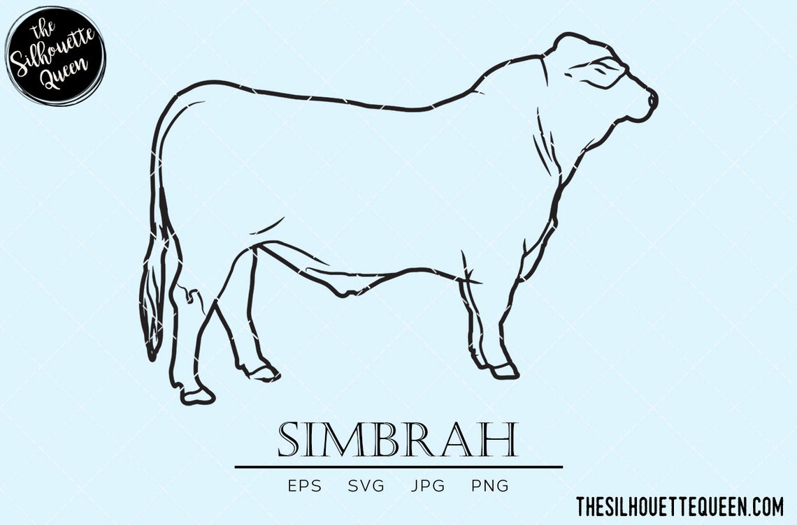 Simbrah Cow, Hybrid Cow Svg, Brahman Simmental Cow, Mammal Svg, Dairy ...