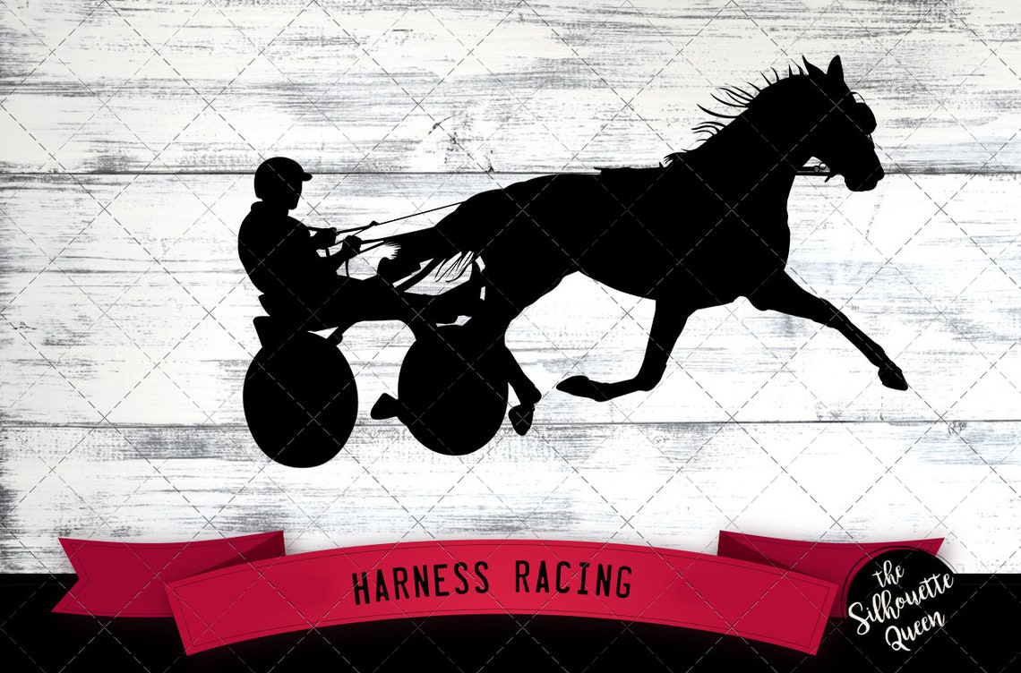 Harness Racing Equestrian Svg Horse Svg Racing Svg Country | Etsy