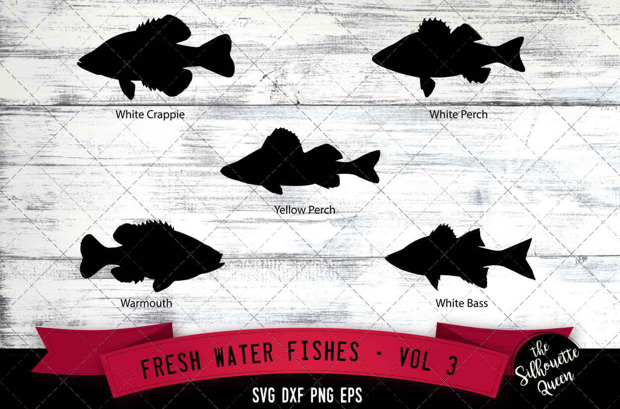 Fresh Water Fishes Svg V3 - White Crappie, Warmouth, Yellow Perch ...