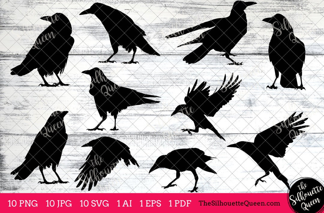 Rook Bird SVG Files Bundle, Flying Bird SVG, Sitting Bird SVG ...