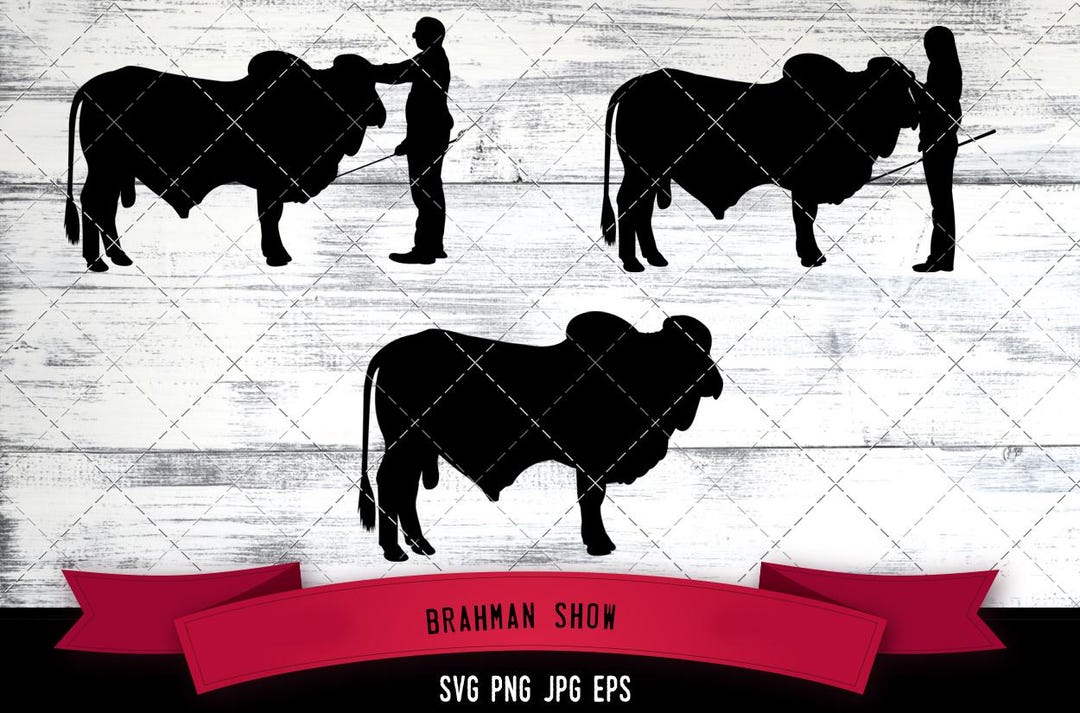 Brahman Cow Show SVG File,livestock Judging Svg, Farm Girl Boy Svg, 4-H ...