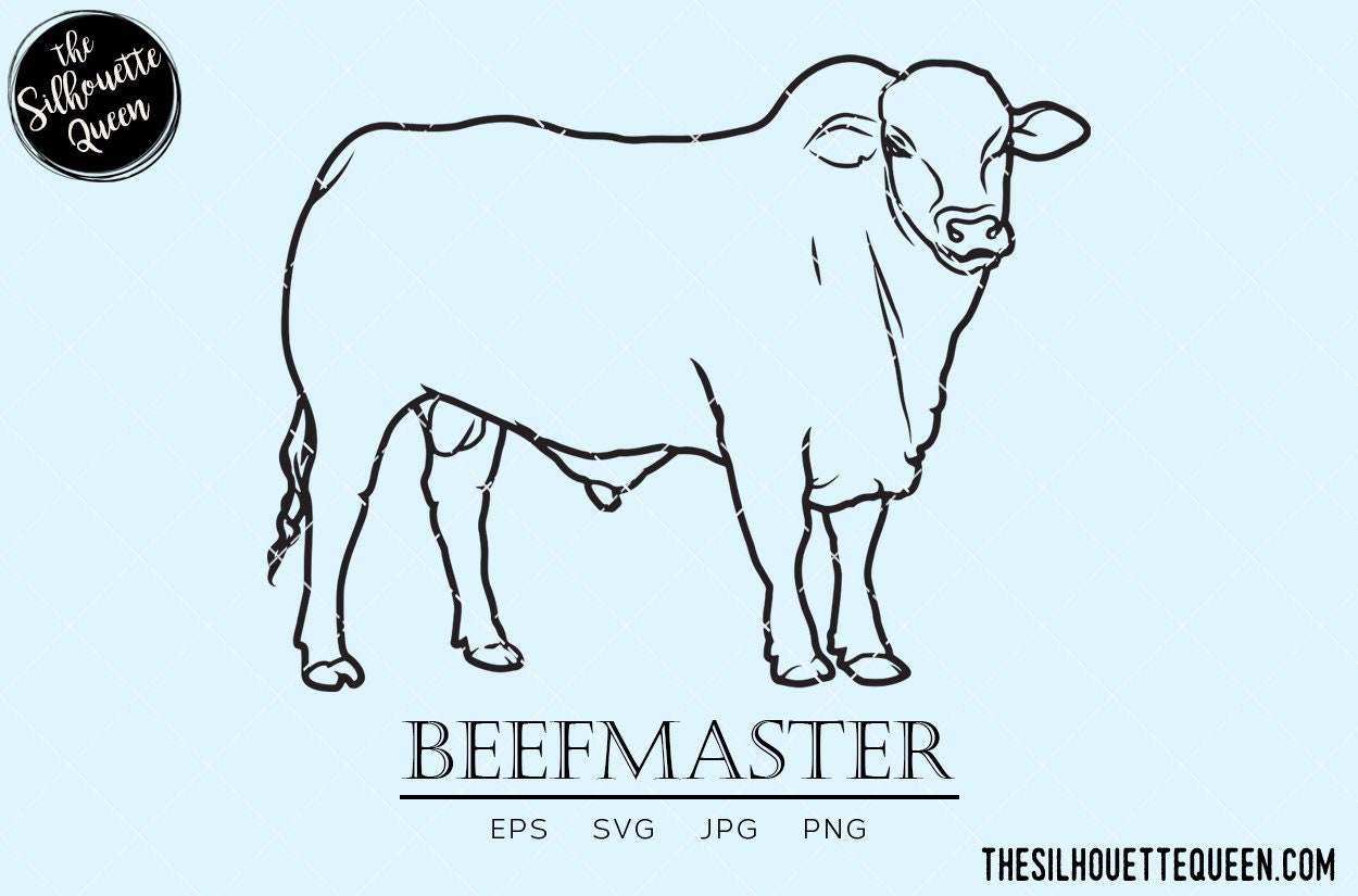 Beefmaster Svg, Cow Svg, Cattle Svg, Hybrid Cow Svg, Mammal Svg ...