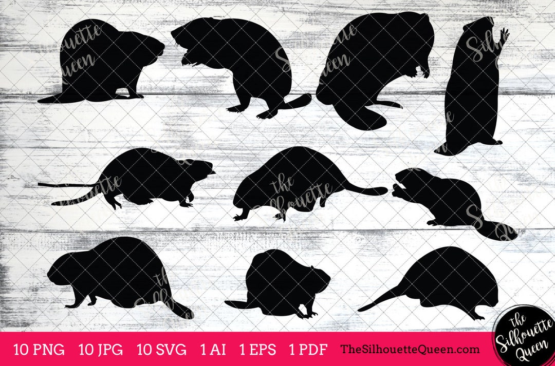 Beaver Svg, Beaver Monogram, Beaver Svg File,cuttable, Beaver Svg ...