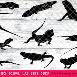 Reptile Svg, Reptile Monogram, Reptile Svg File,cuttable, Reptile Svg ...