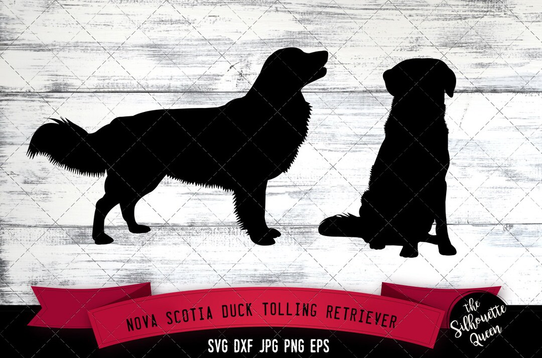 Nova Scotia Duck Tolling Retriever SVG Files, Dog Svg, Silhouette File ...