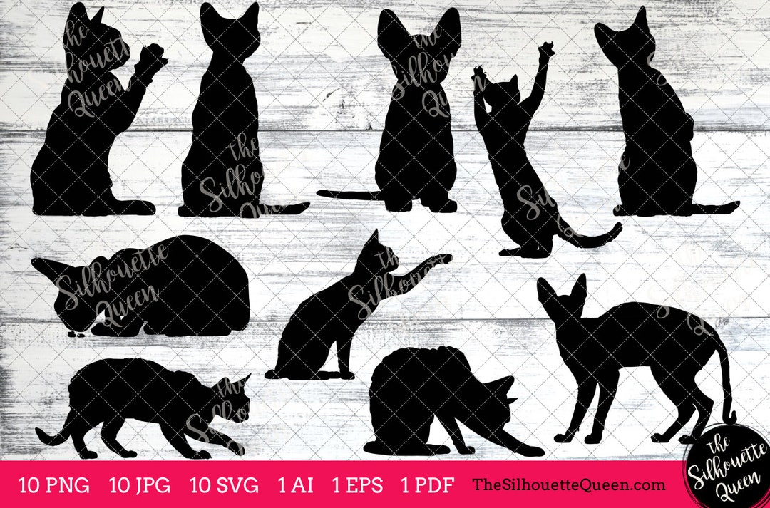 Devon Rex Cat Svg, Cat Monogram, Cat Svg File, Clipart Vector, Cat Svg ...