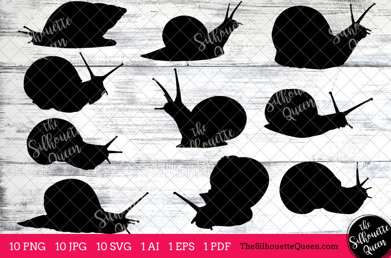 Sea Snail Svg, Snail Monogram, Snail Svg File, Snail Cuttable, Snail ...