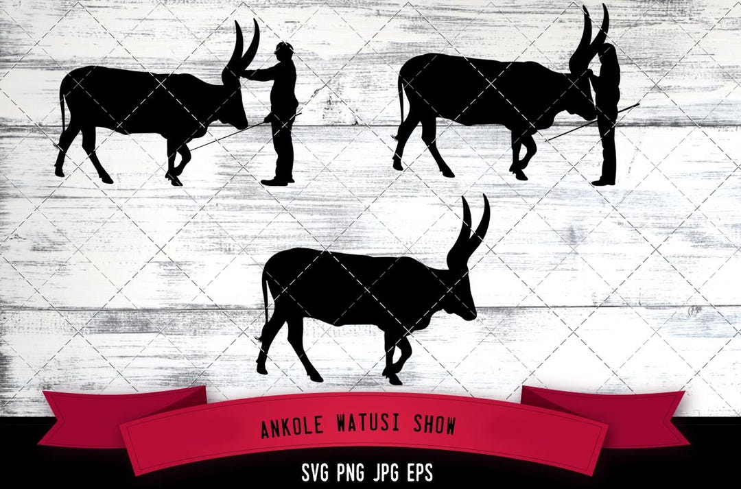 Ankole Watusi Cow Show SVG File,livestock Judging Svg, Farm Girl Boy ...