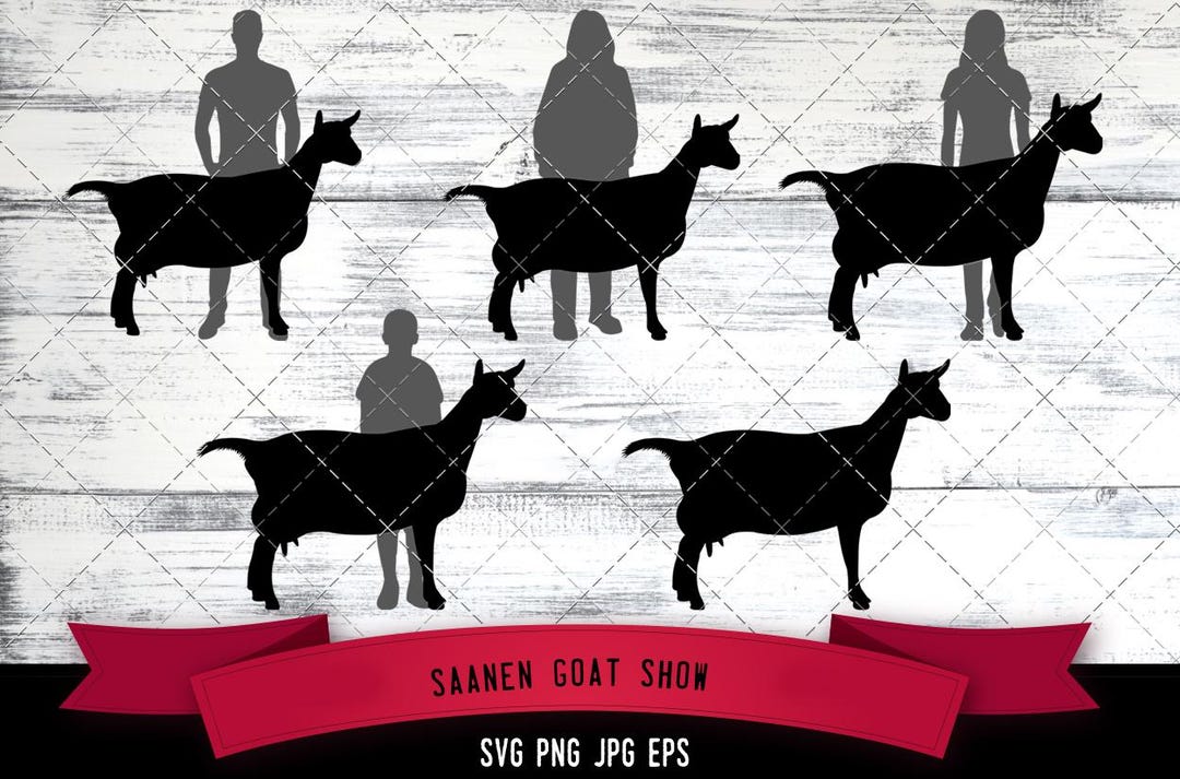 Saanen Goat Show SVG File,livestock Judging Svg, Farm Girl Boy Svg, 4-H ...