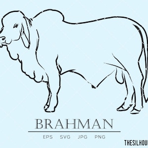 Brahman Svg Cow Svg Cattle Svg Hybrid Cow Svg Mammal Svg | Etsy Canada