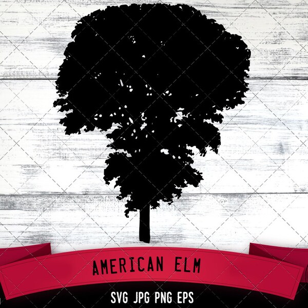 American Elm - Etsy