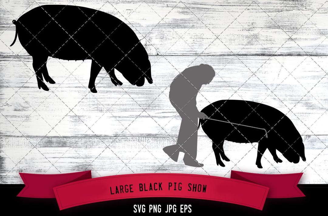 Large Black Pig Show SVG File, Livestock Judging Svg, Farm Girl Boy SVG ...
