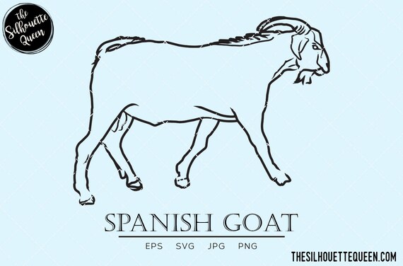 Spanish Meat Goat