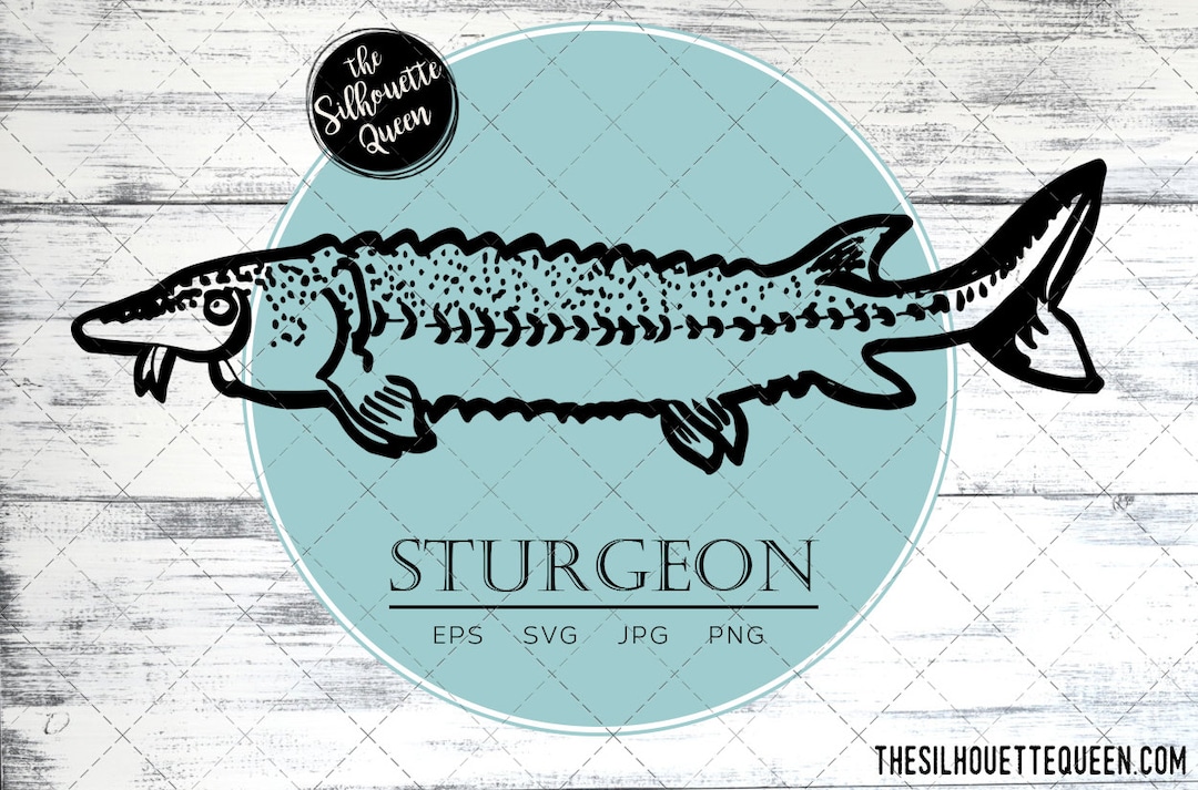 Sturgeon Fish, SVG Design Files, Hand Drawn Fishing Vector Clipart ...
