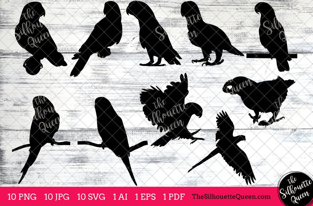 Parakeet Bird SVG Files Bundle, Flying Bird SVG, Sitting Bird SVG ...