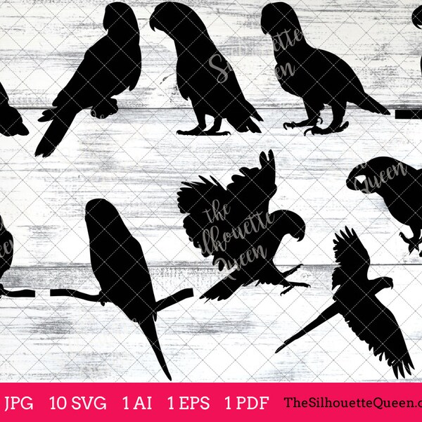 Parakeet Birds - Etsy