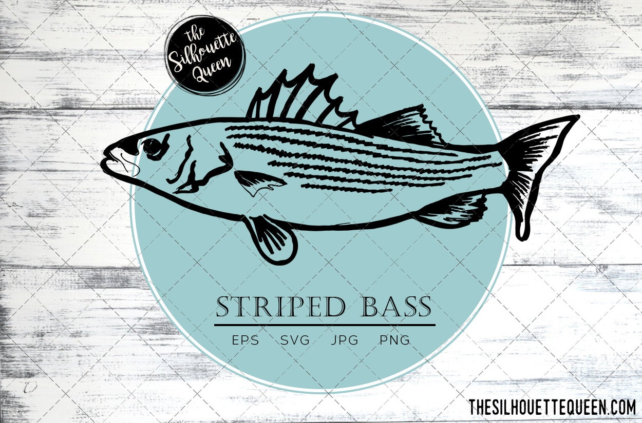 Striped Bass Fish SVG Design Files Hand drawn Fishing Vector | Etsy
