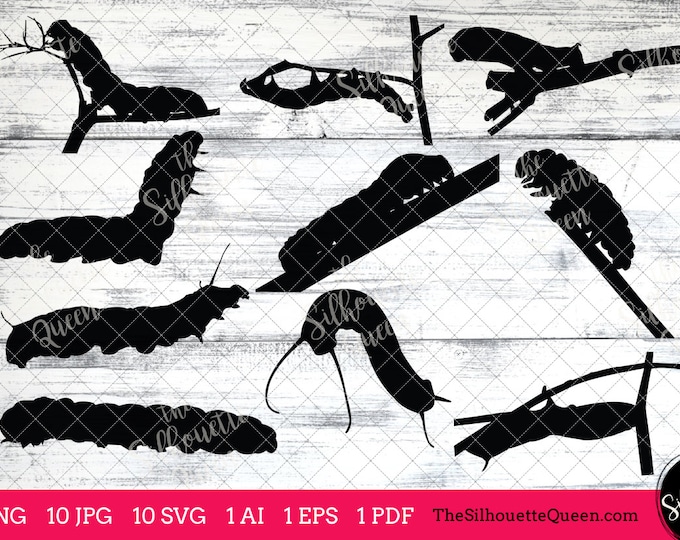 Permit Svg Salt Water Fish Svg Marine Svg Aquatic Svg Fish - Etsy