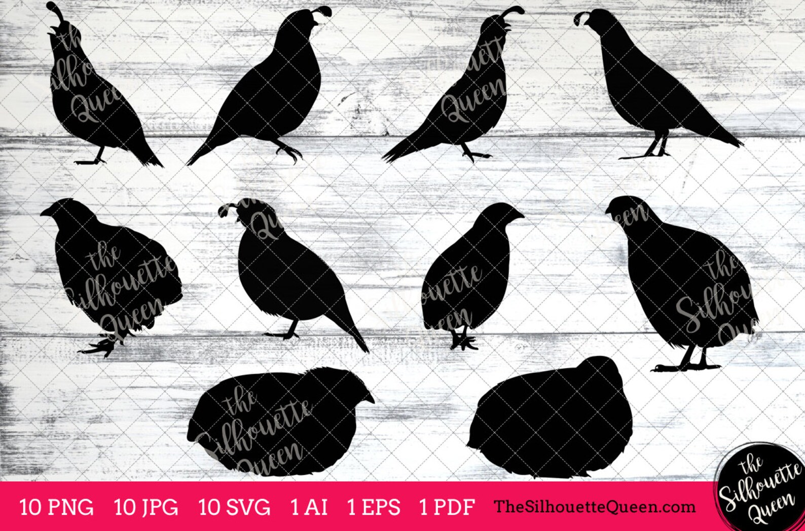 Quail Bird SVG Files Bundle Flying Bird SVG Sitting Bird - Etsy