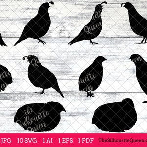 Quail Bird SVG Files Bundle, Flying Bird SVG, Sitting Bird SVG ...