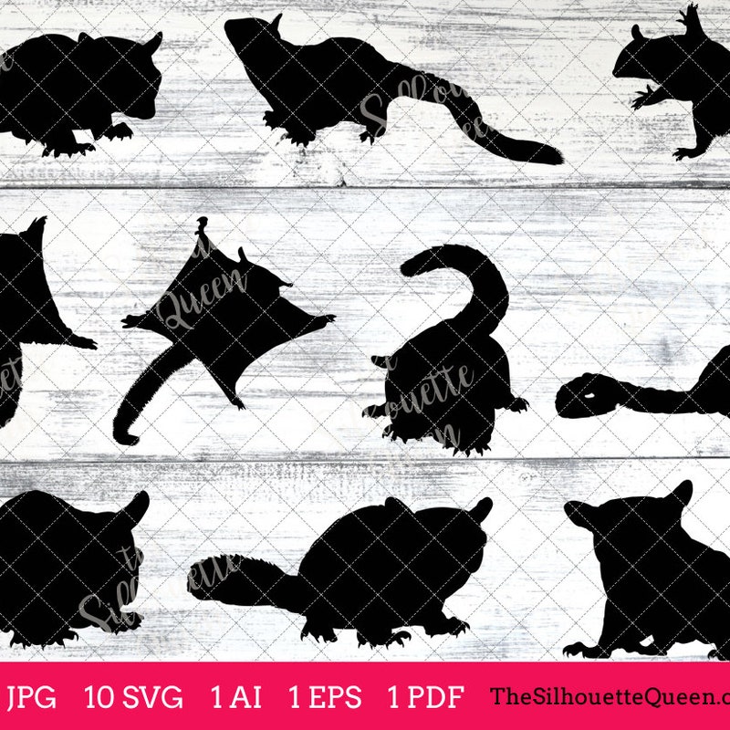 Sugar Glider Art - Etsy