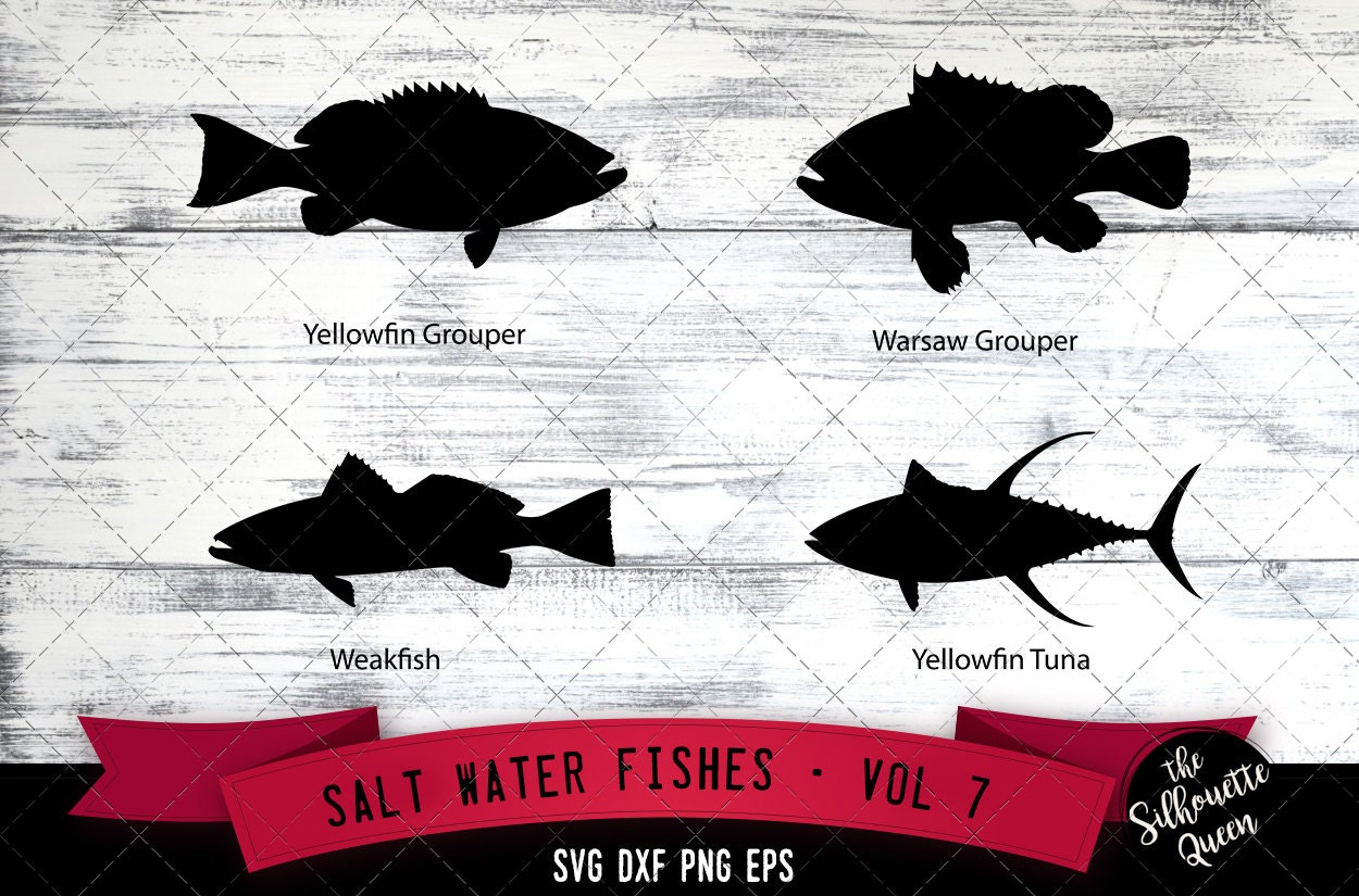 Salt Water Fishes Svg V7 Yellowfin Grouper Warsaw Grouper | Etsy