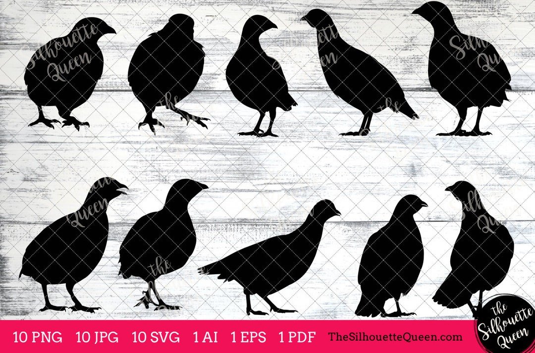 Partridge Bird SVG File Bundle, Flying Bird SVG, Sitting Bird SVG ...