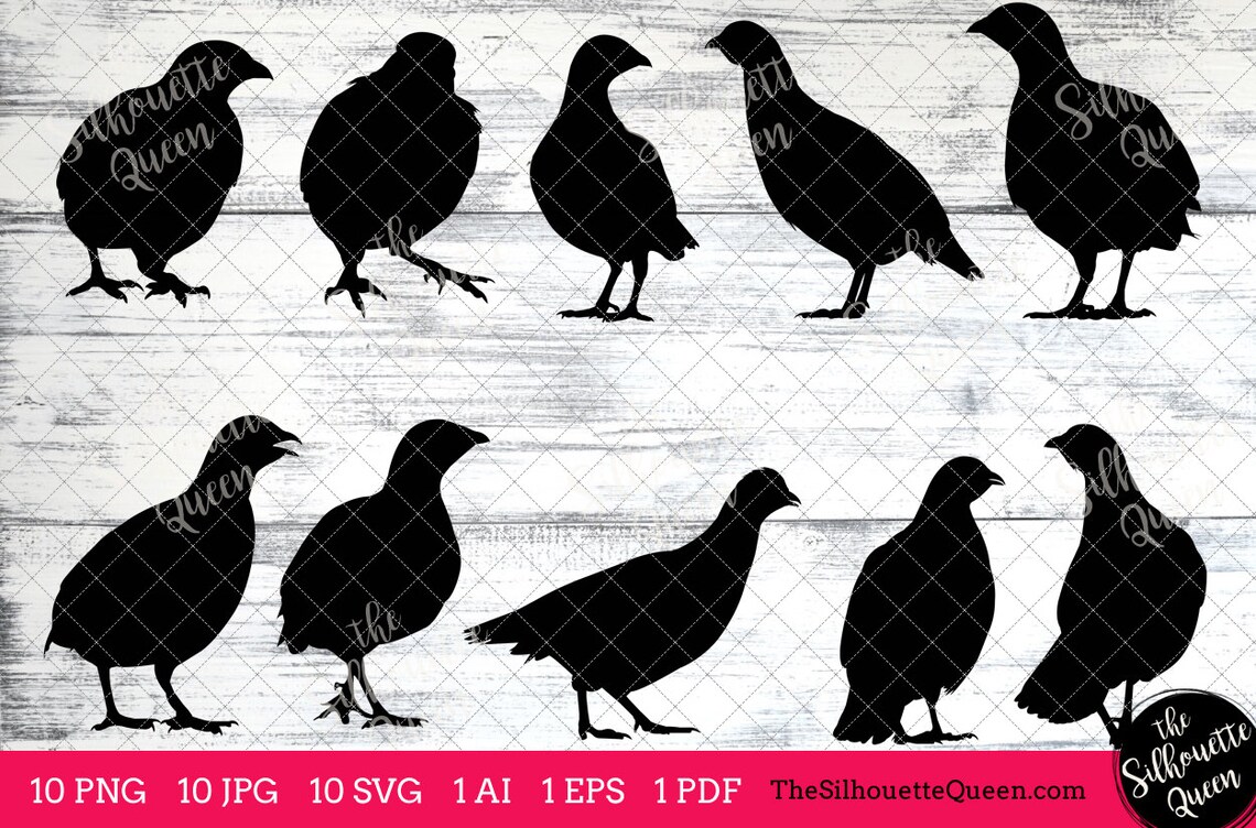 Partridge Bird SVG File Bundle, Flying Bird SVG, Sitting Bird SVG ...