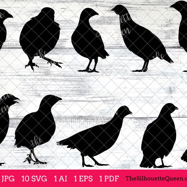 Partridge Bird - Etsy