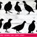 Partridge Bird SVG File Bundle, Flying Bird SVG, Sitting Bird SVG ...