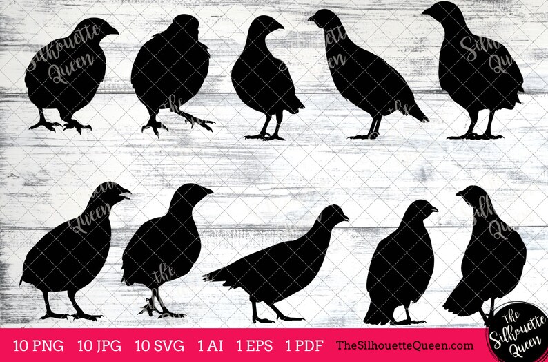 Partridge Bird SVG File Bundle Flying Bird SVG Sitting Bird - Etsy