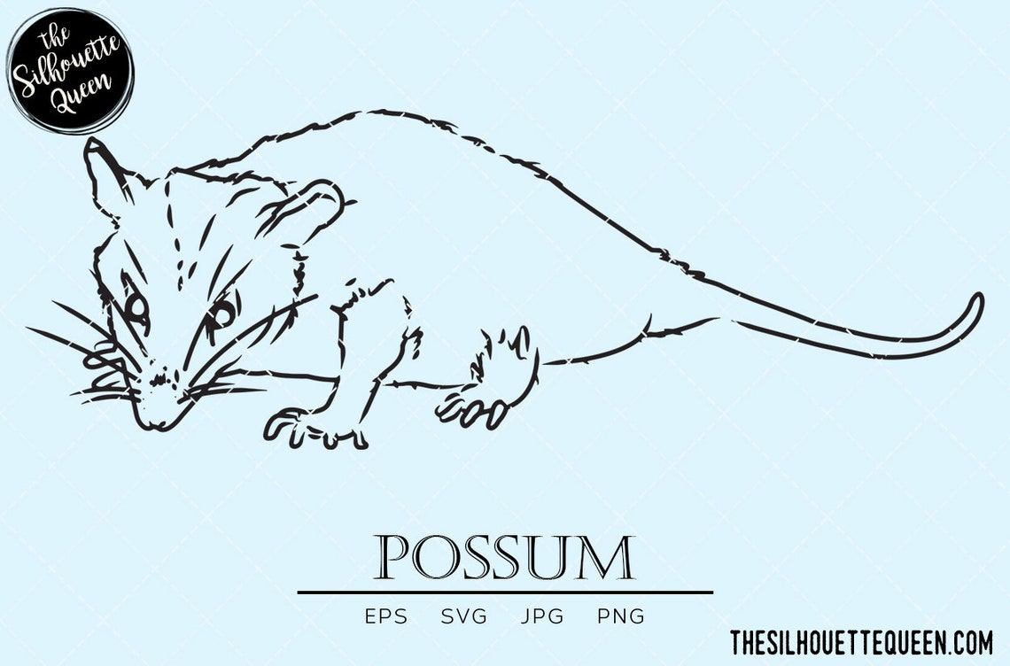 Possum Svg Opossum Svg Marsupial Svg Australia Svg - Etsy
