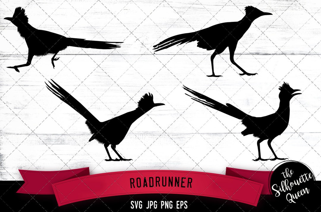 Roadrunner Svg, Birds Svg, Southwest Svg, Desert Vector, Fast Runner ...